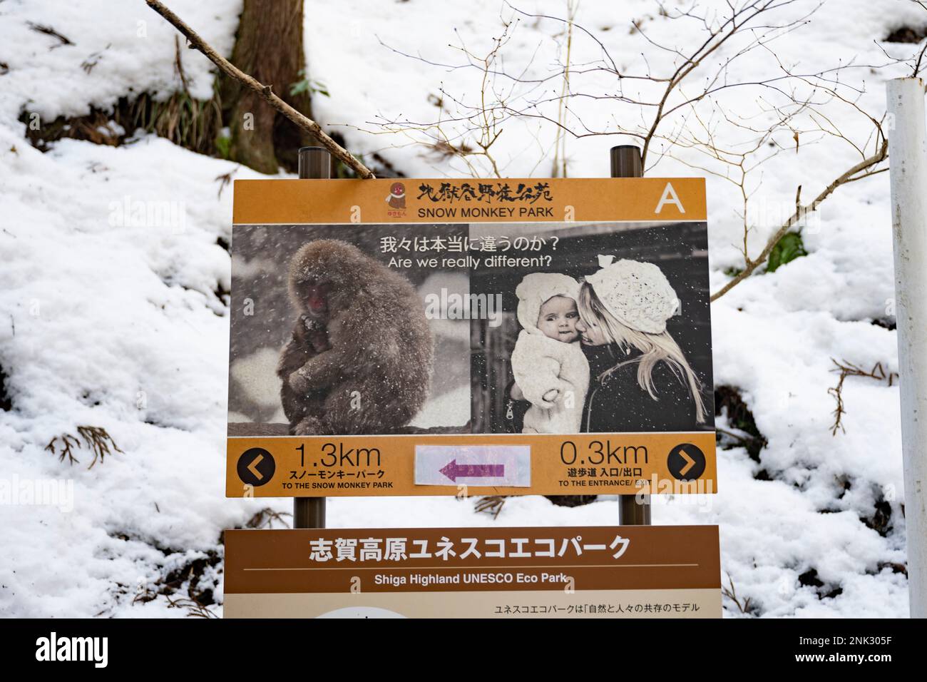 Yamanochi, Nagano Prefecture, Japan. 12th Feb, 2023. Signs at Snow ...