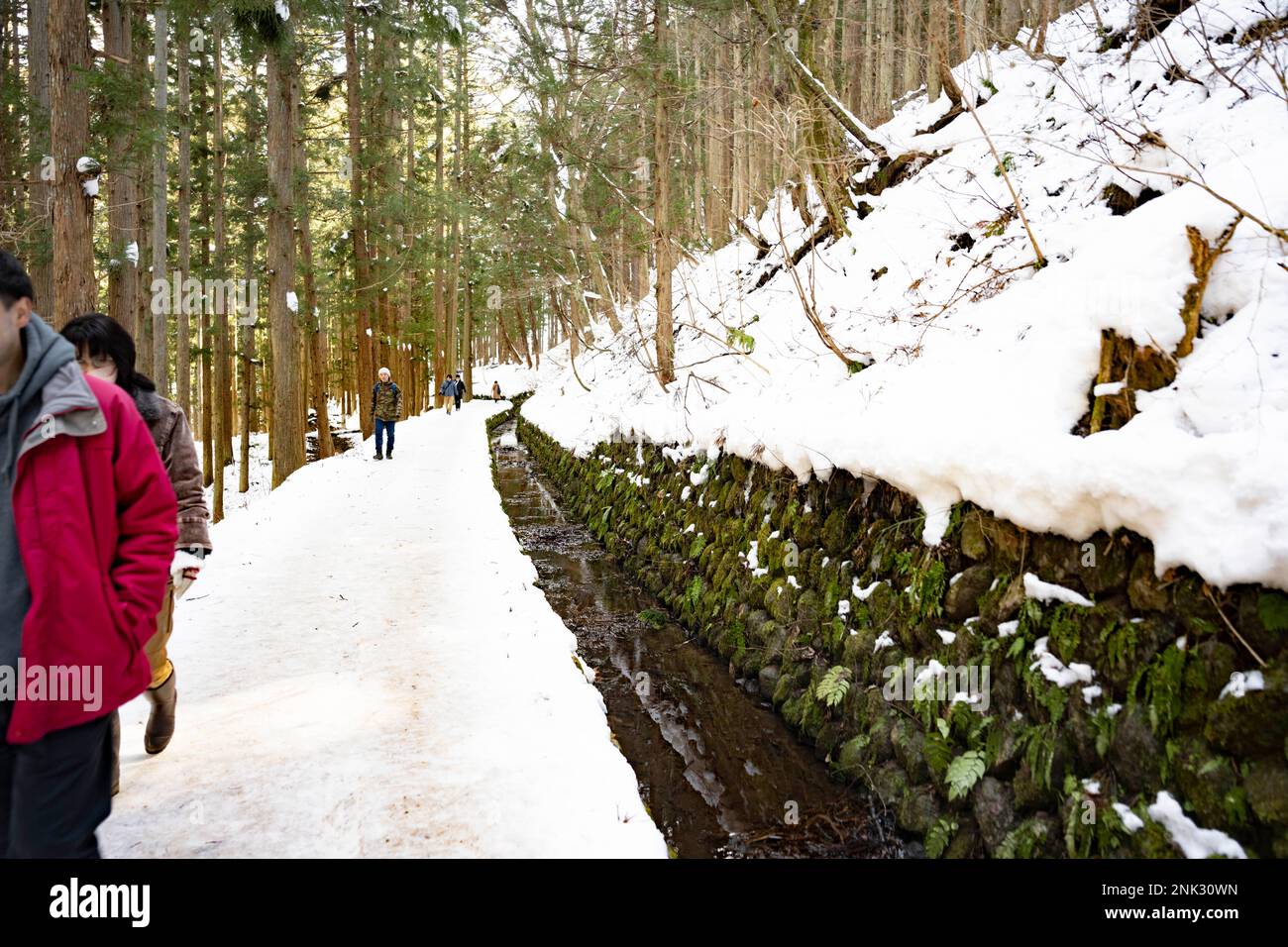 Yamanochi, Nagano Prefecture, Japan. 12th Feb, 2023. Snow and ice ...
