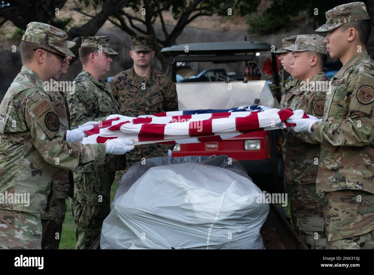 U.S. servicemembers with the Defense POW/MIA Accounting Agency (DPAA ...