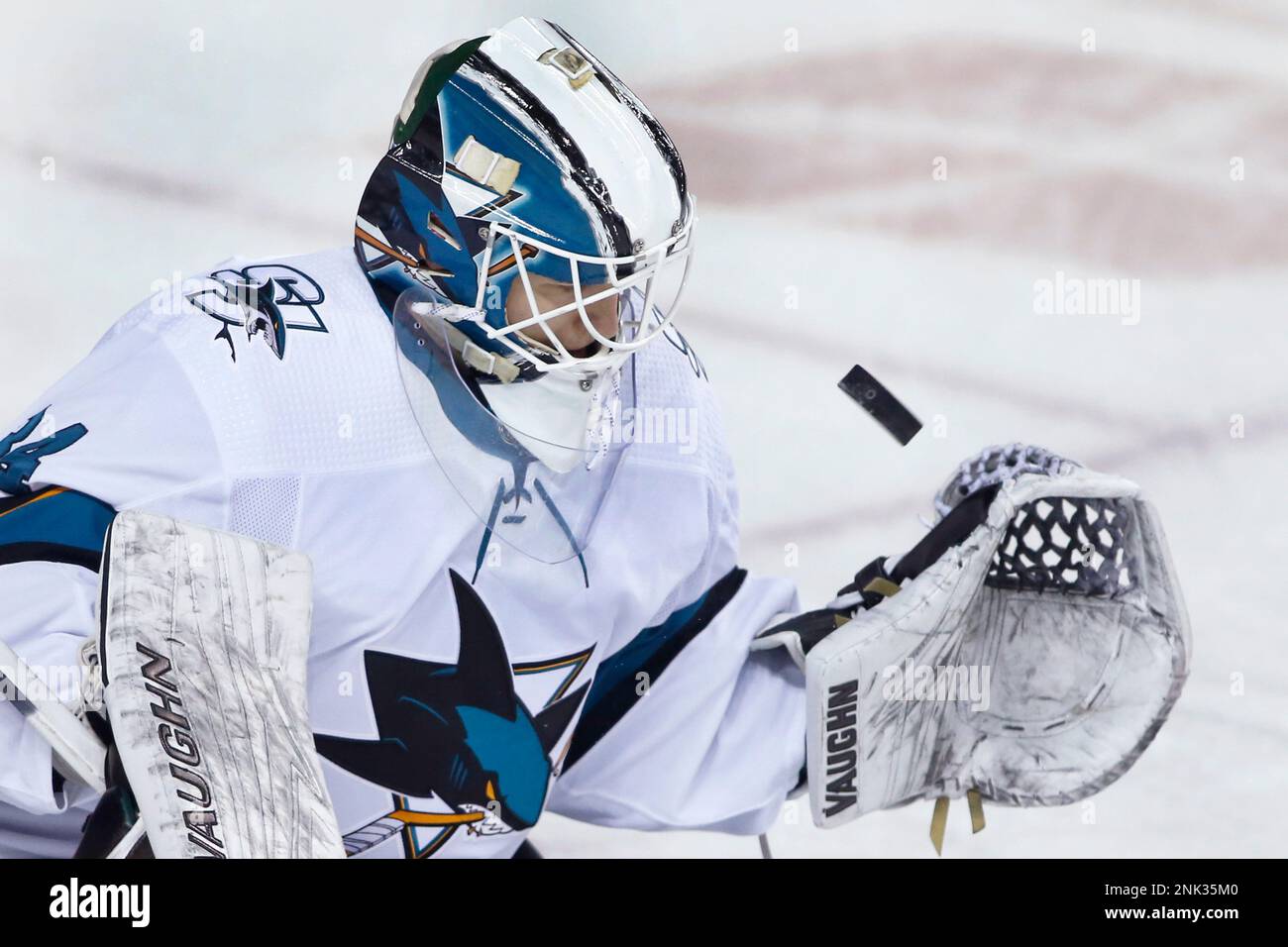 NHL profile photo on San Jose Sharks goalie Kaapo Kahkonen, from ...