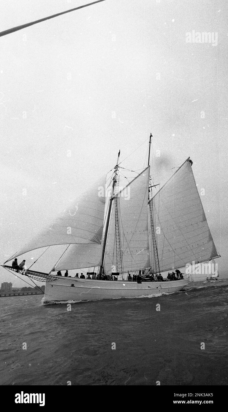 The Schooner Wander Bird and it's crew 1981 (Vincent Maggiora/San ...