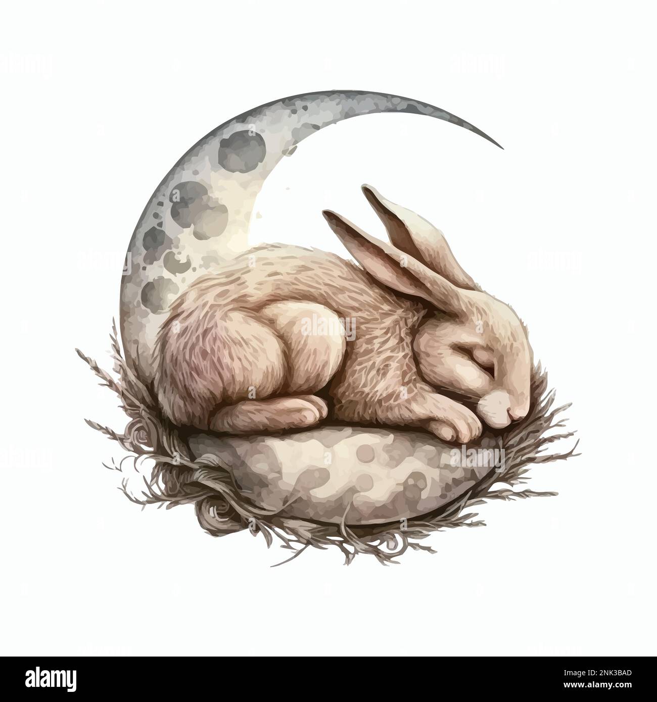 Rabbit On The Moon Indian Story