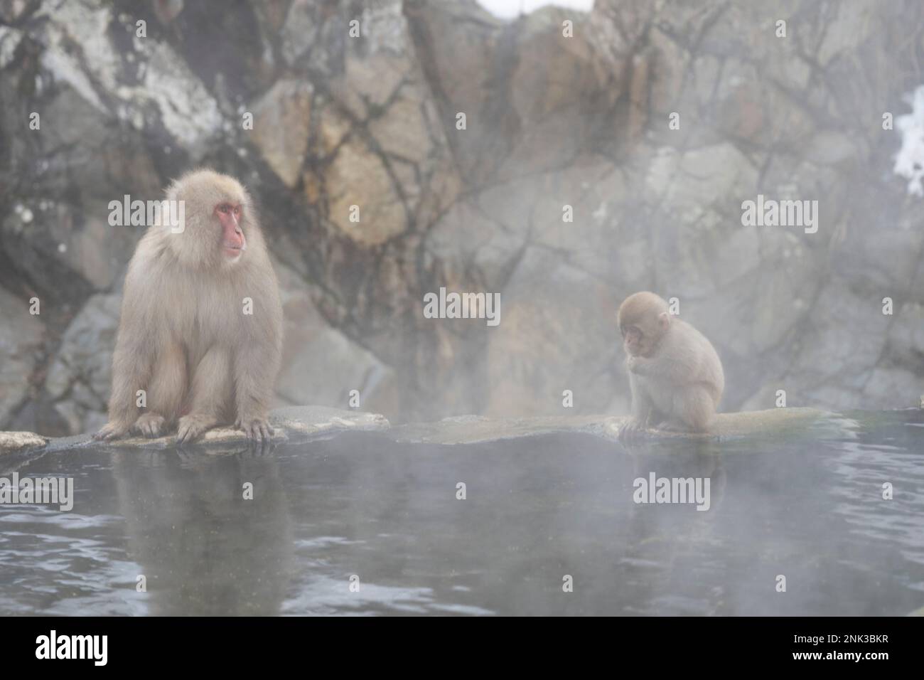 Yamanochi, Nagano Prefecture, Japan. 12th Feb, 2023. Tourists ...