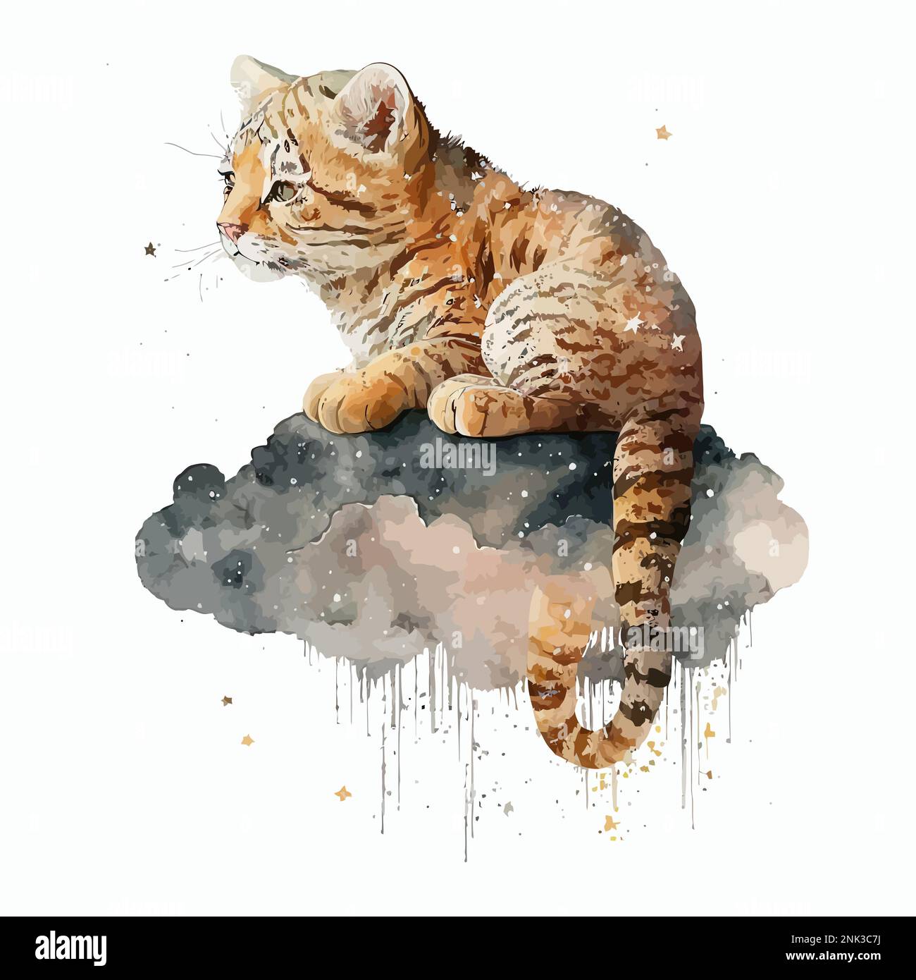 Tiger cub design hi-res stock photography and images - Alamy