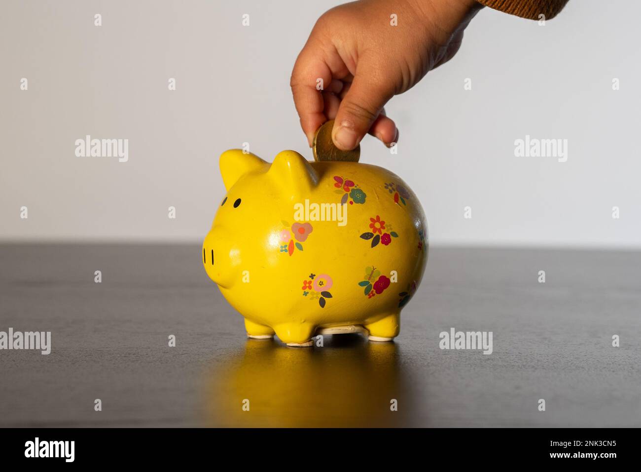 small pig for saving coin Stock Photo - Alamy