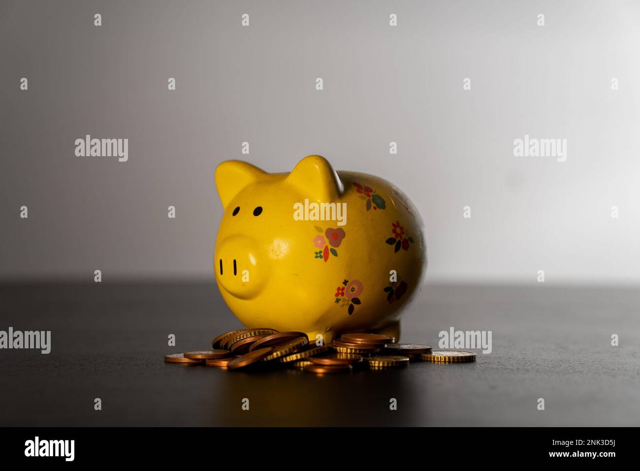 Small pig for saving coin Stock Photo - Alamy