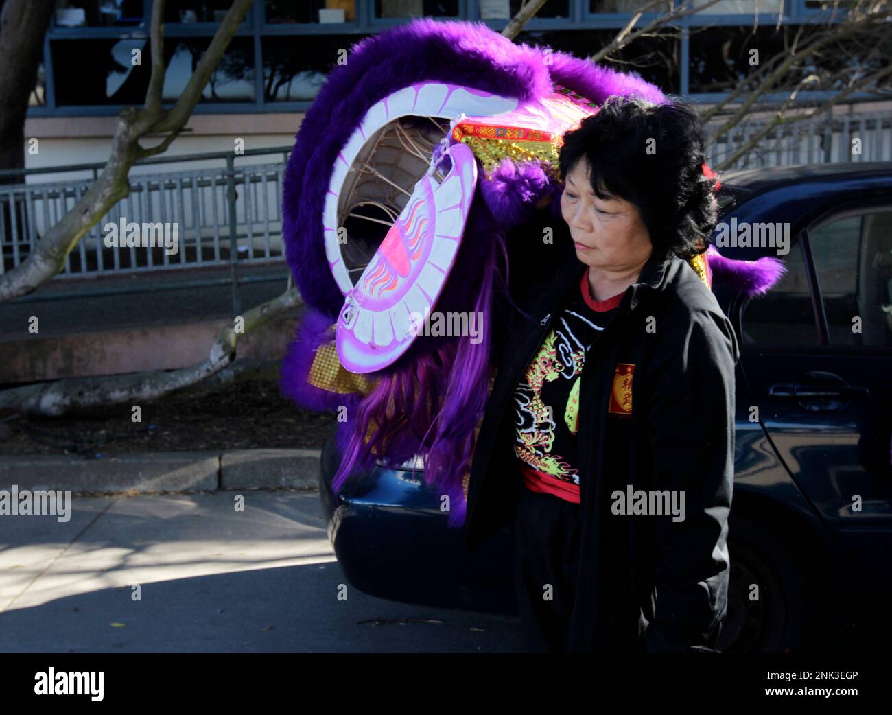 Lily Yee carries a lion dance costume to a performance by the Jing Mo ...