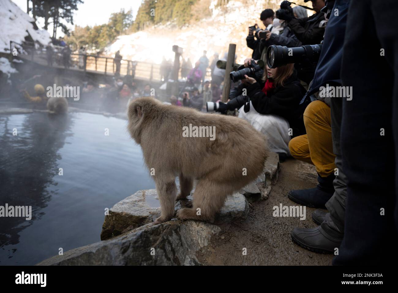 Yamanochi, Nagano Prefecture, Japan. 12th Feb, 2023. Tourists taking ...