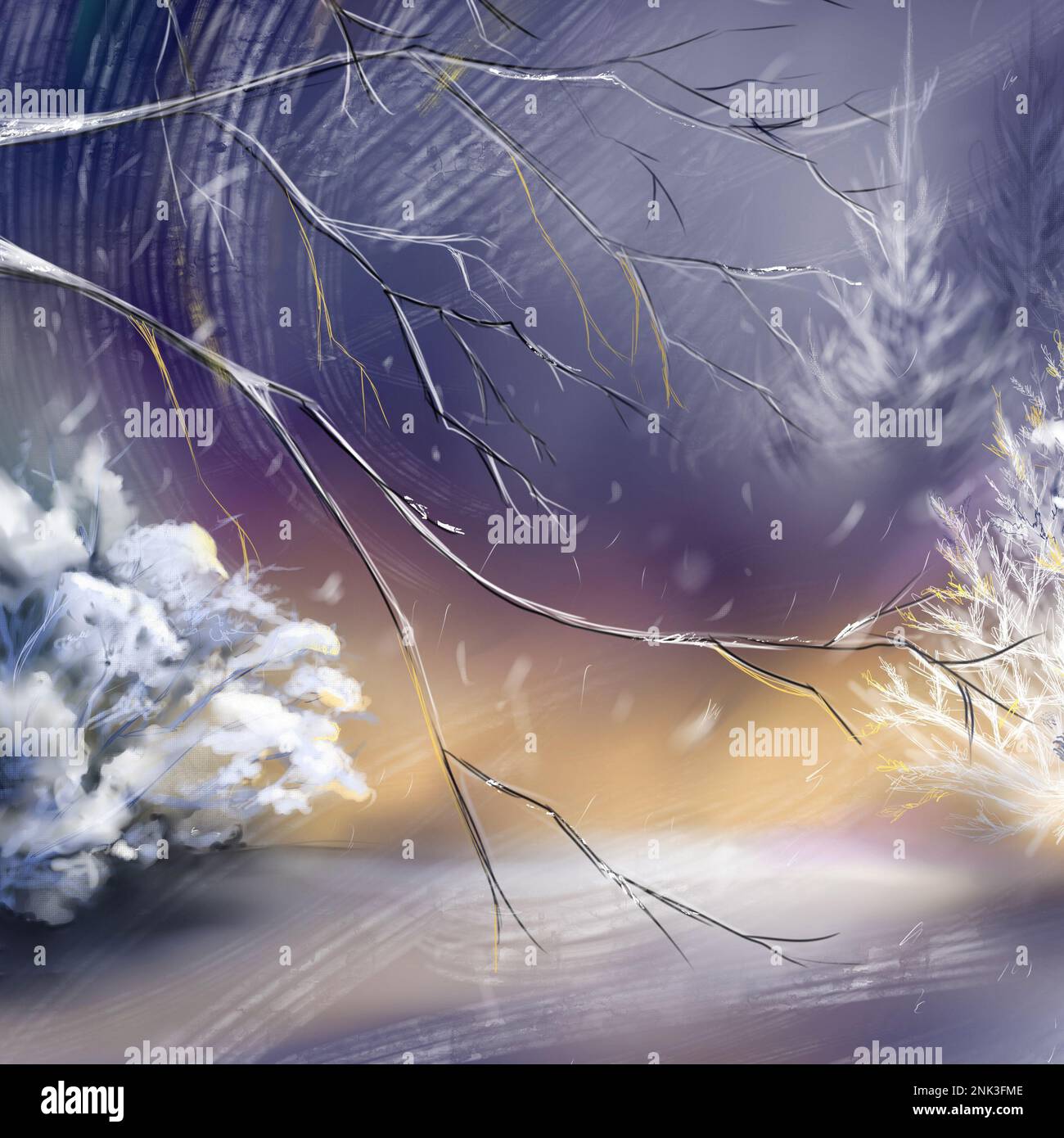 Watercolor violet night winter wood forest fir snow landscape digital ...