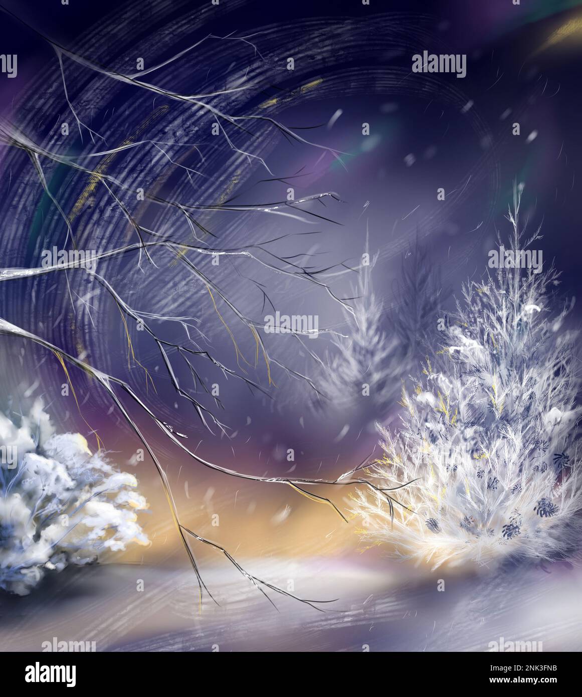 Watercolor violet night winter wood forest fir snow landscape digital ...