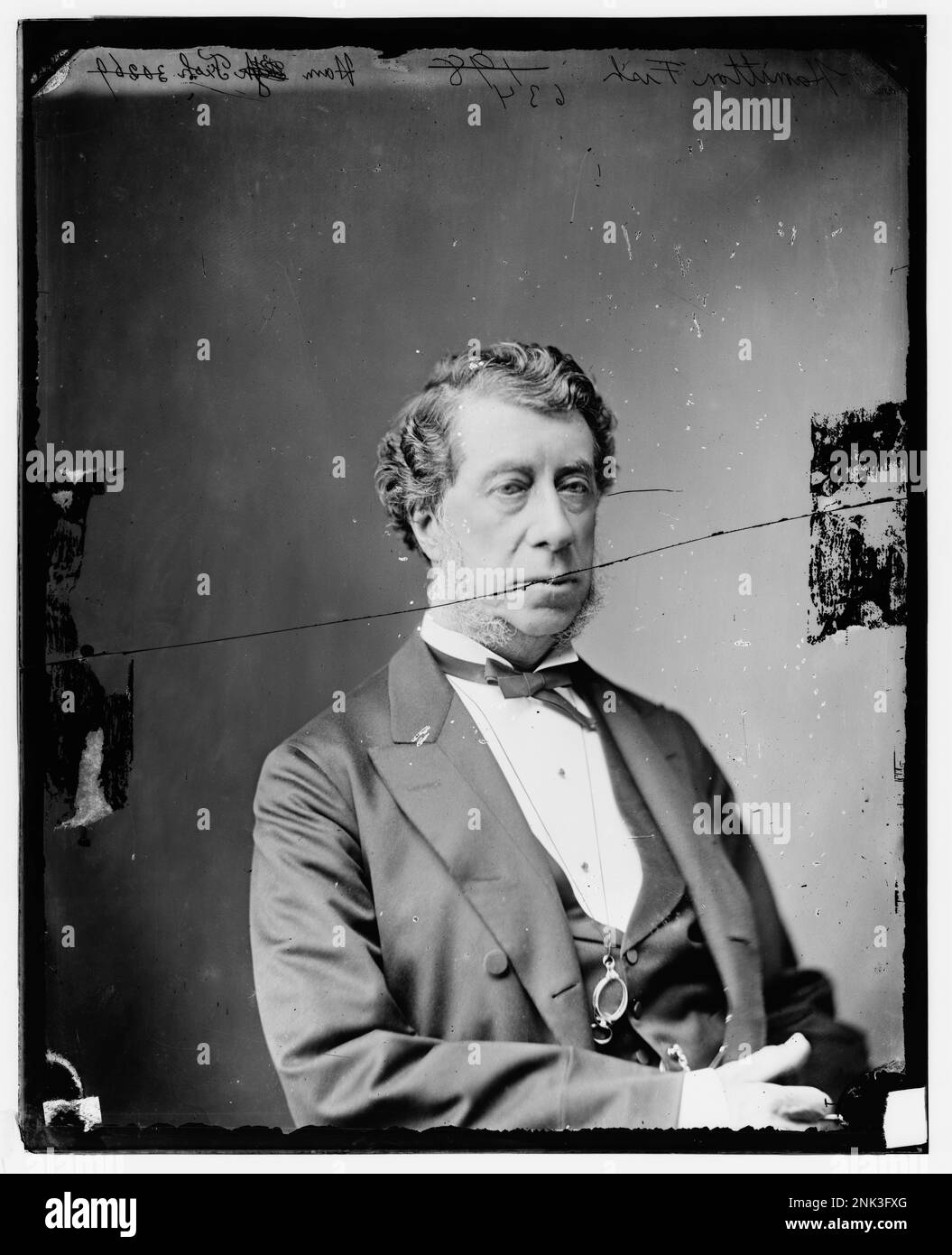 Portrait of Hon. Hamilton Fish from New York, featured in the Brady ...