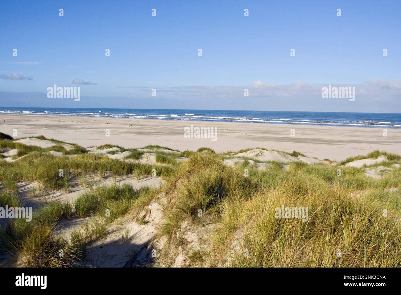 duinvorming Vlieland: new dunes Vlieland, Netherlands, Vlieland ...