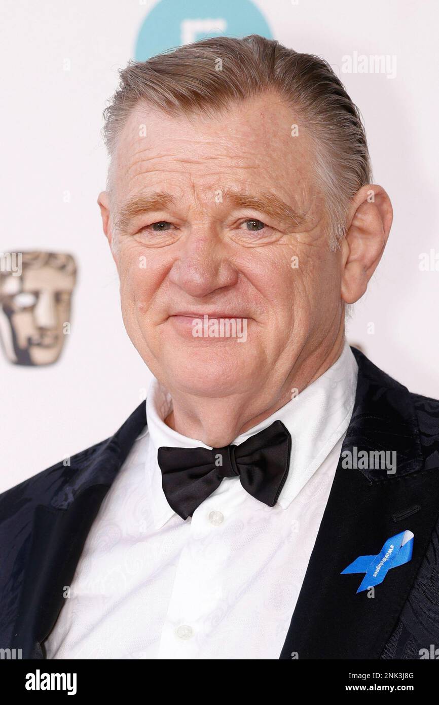Brendan Gleeson poses for photographers upon arrival at the 76th ...