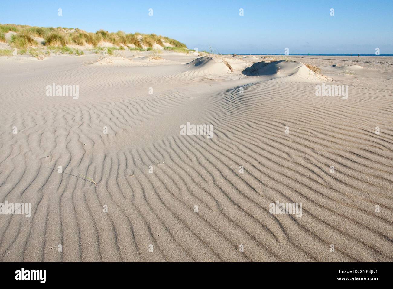 Strand en duinen oostpunt, Vlieland (Nederland / Netherlands Stock ...