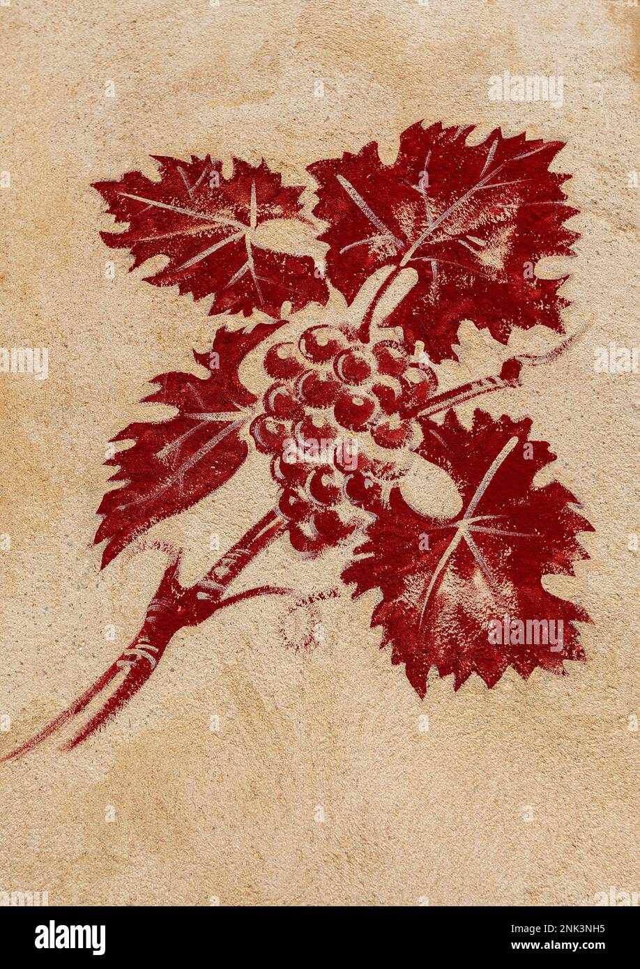 A stylized painting of grapevine painted in red on a rustic wall Stock ...