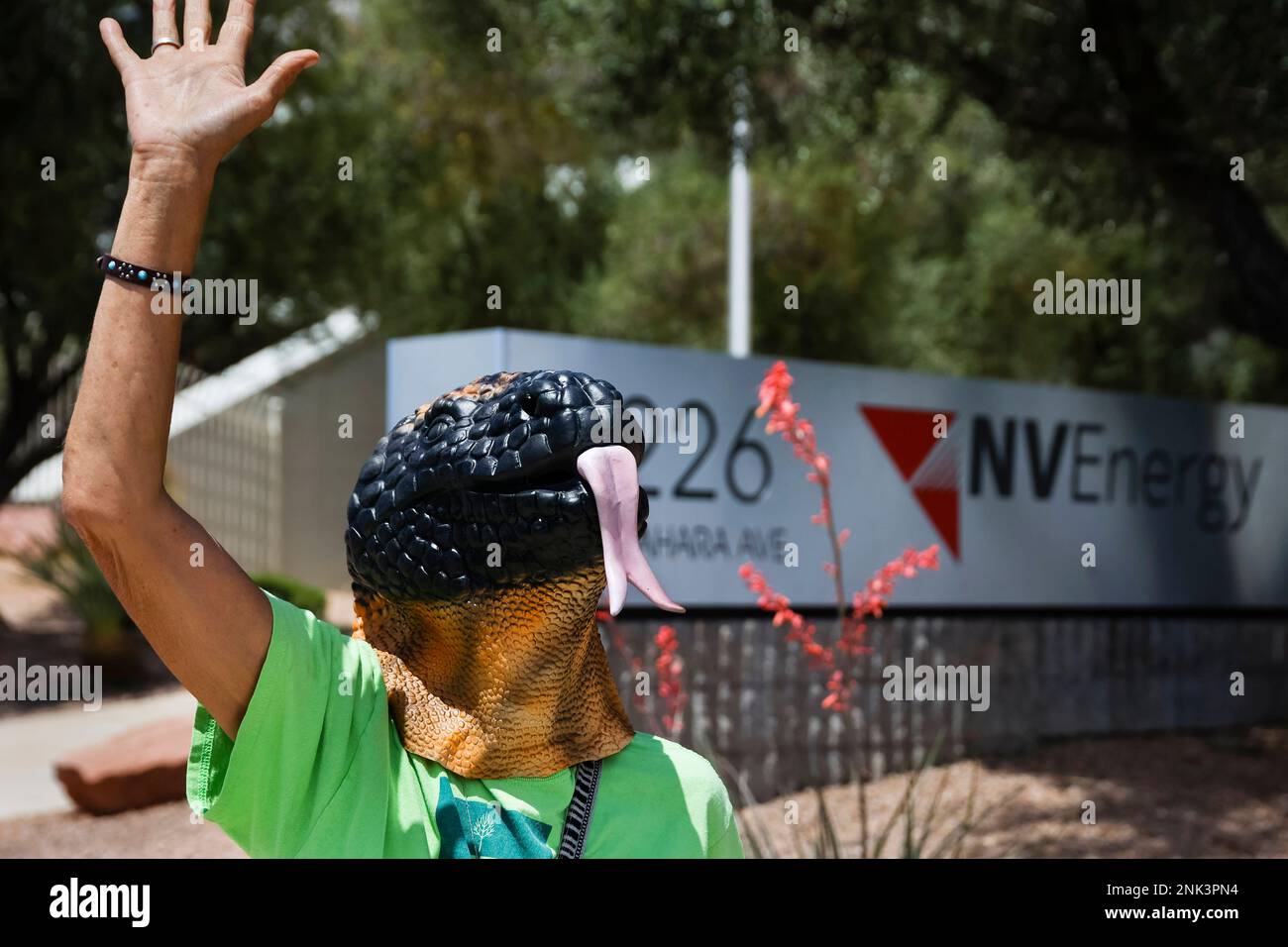 A person wearing a Gila monster reptile mask protests the NV Energy ...