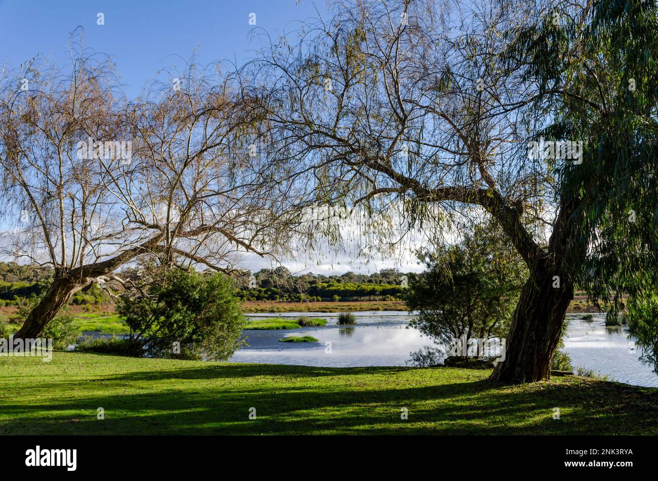 Yanchep National Park Perth Western Australia Stock Photo - Alamy