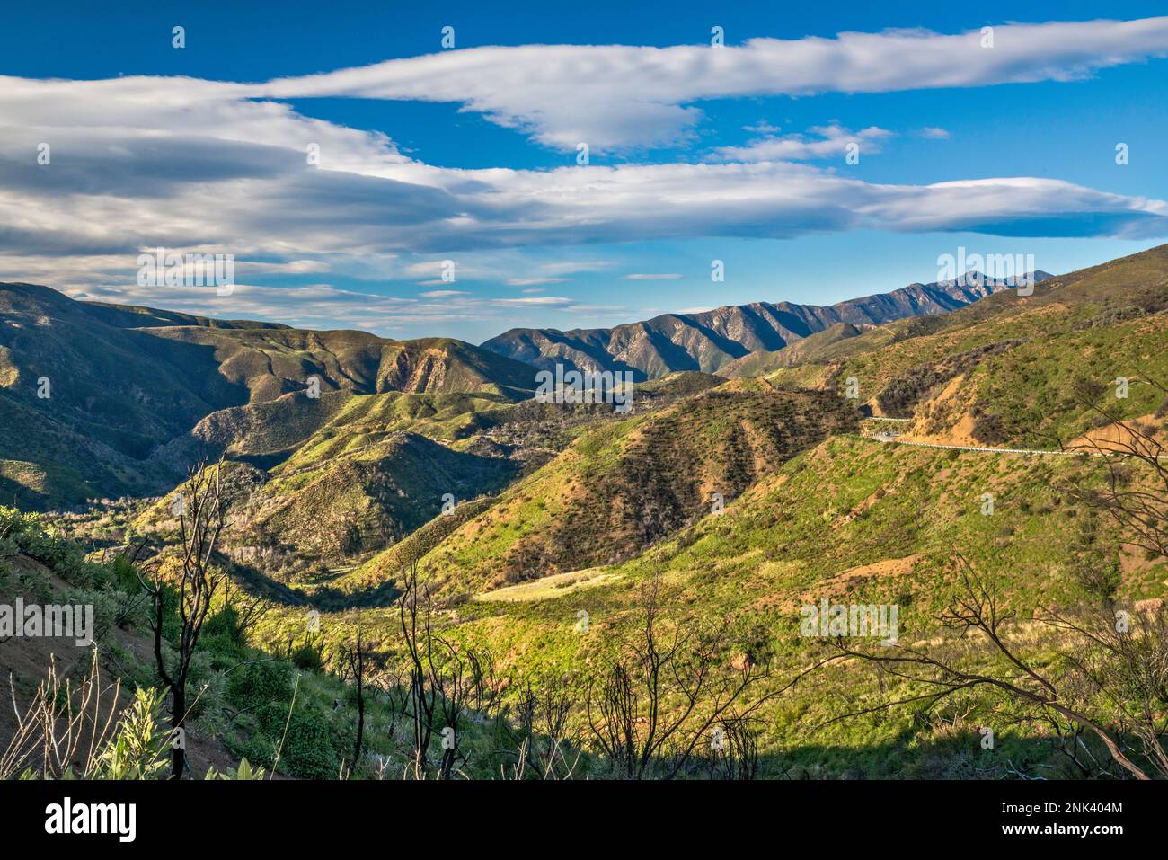 Pine Mountain massif, chaparral zone, Maricopa Highway, Los Padres ...