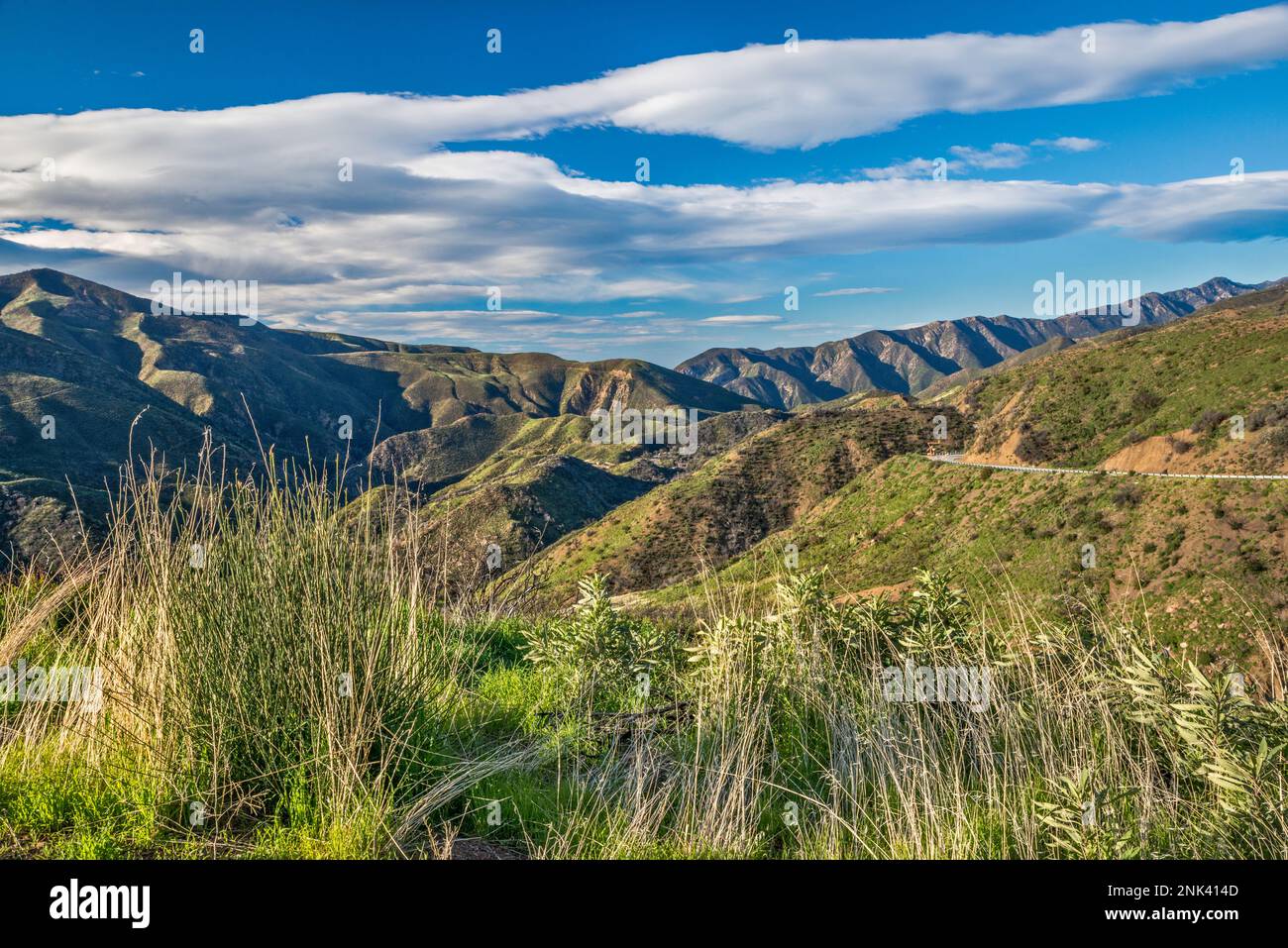 Pine Mountain massif, chaparral zone, Maricopa Highway, Los Padres ...