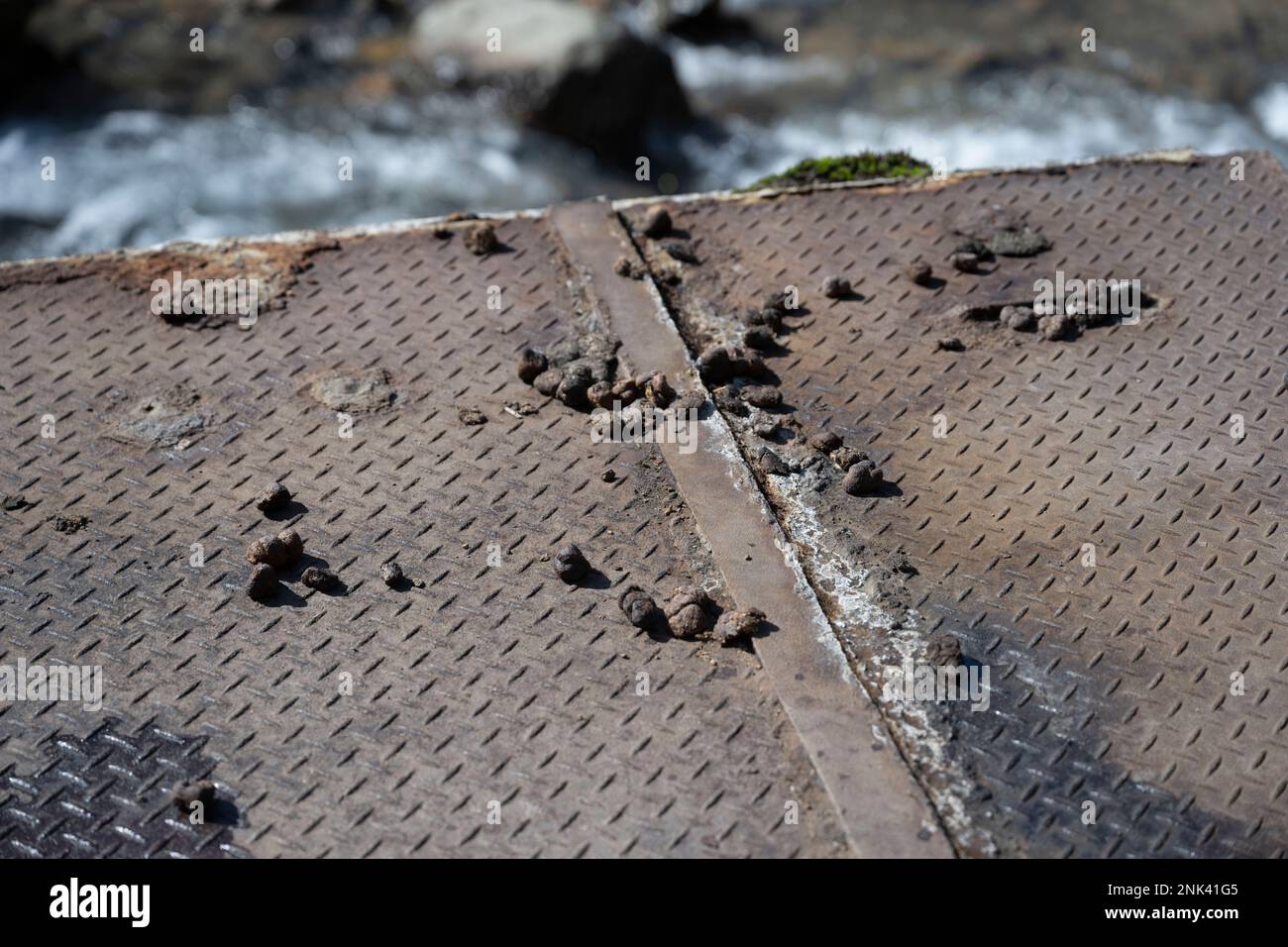 February 12, 2023, Yamanochi, Nagano Prefecture, Japan: Monkey ...