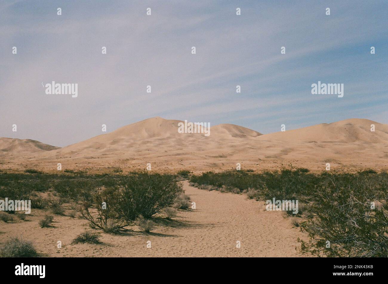 Taken in the Mojave Desert of California, this film picture shows the ...