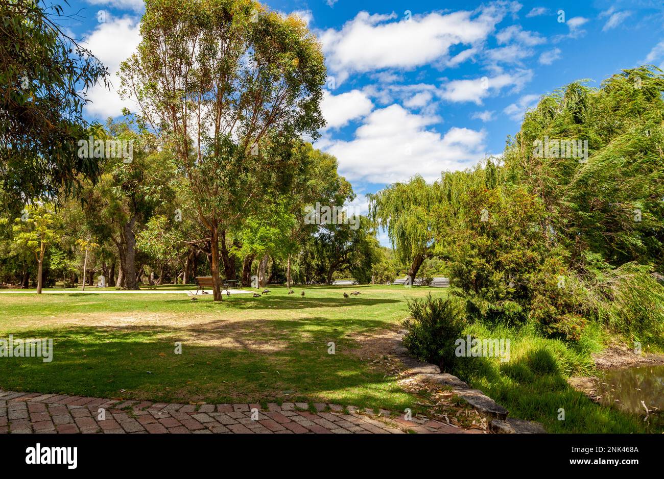 Yanchep National Park Perth Western Australia Stock Photo - Alamy