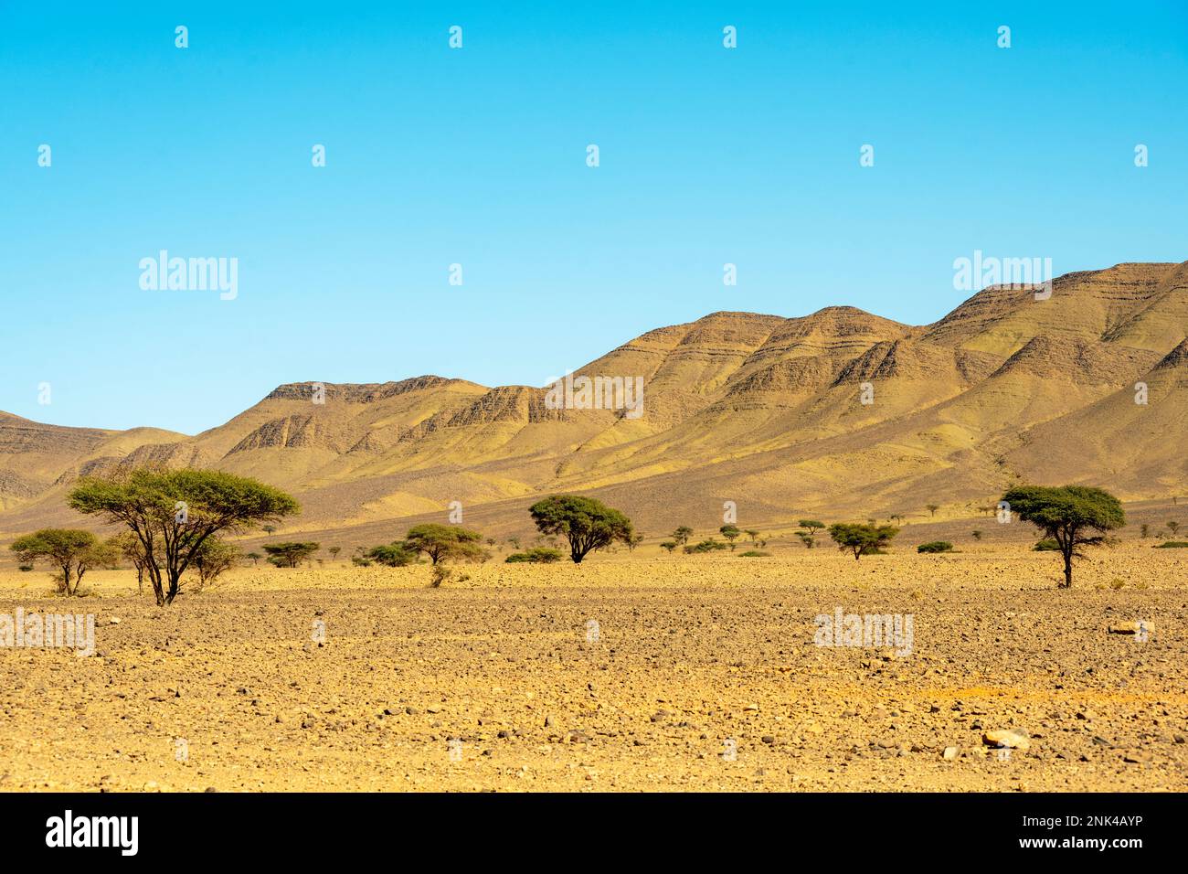 Afrika, Marokko, Südmarokko, Landschaft an der Piste P1800 Stock Photo ...