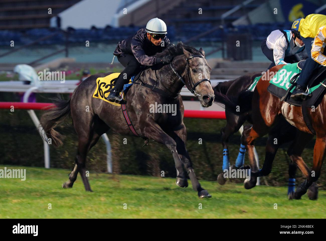 WINGS OF WAR (162) ridden by Karis Teetan trial in batch 2 over ...