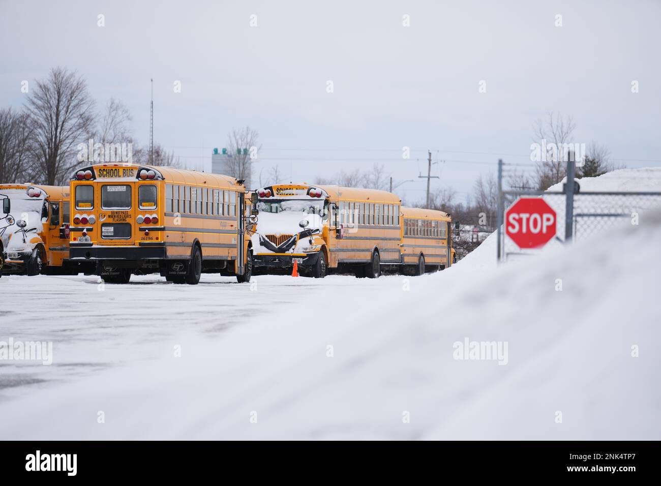 Snow covered school buses are seen in a lot in Ottawa on Thursday, Feb ...