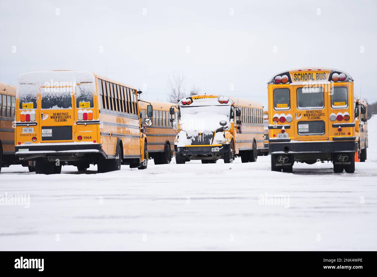 Ottawa, Canada, Feb. 23, 2023. Snow covered school buses are seen in a ...