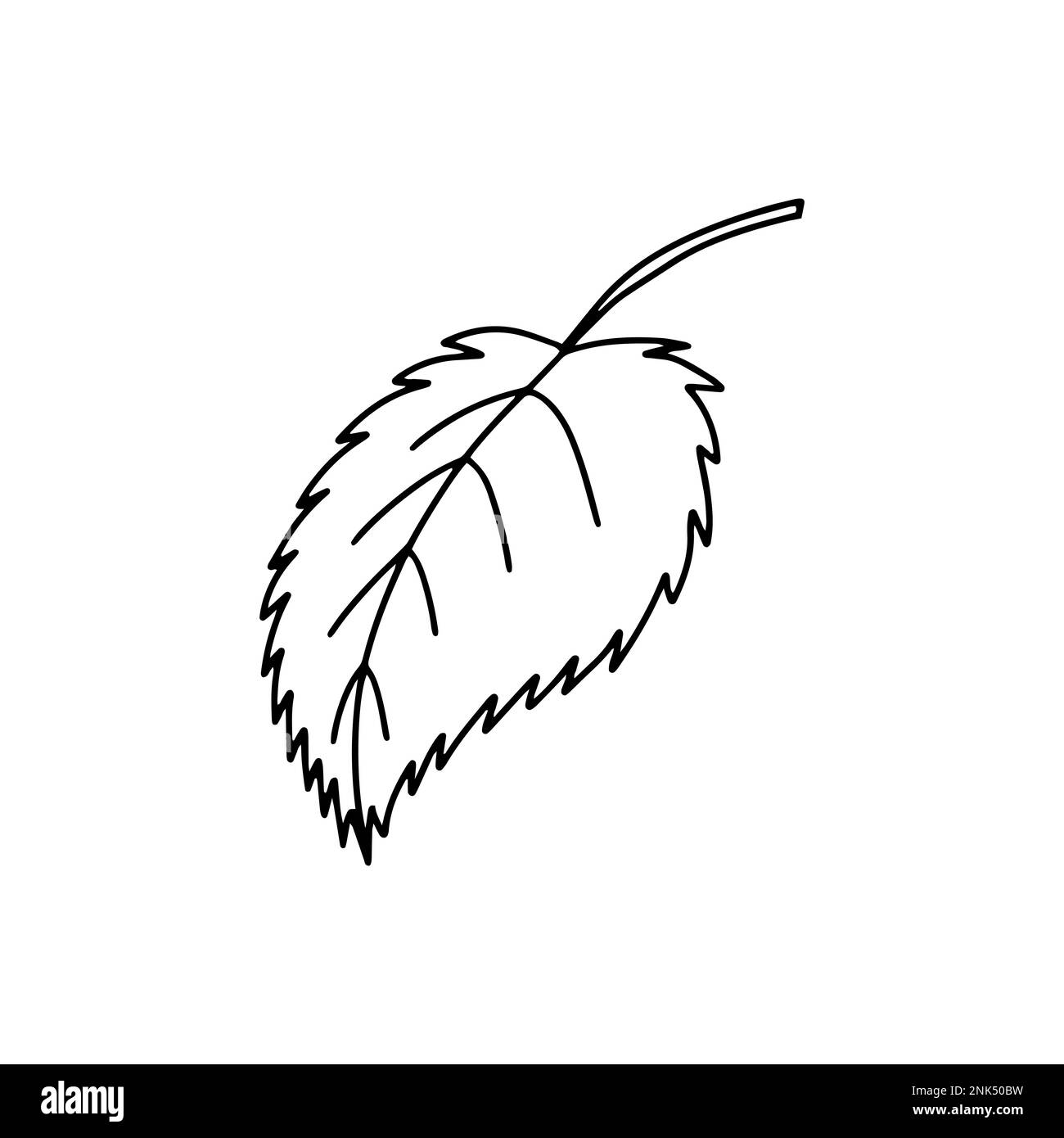 Apple Leaf Outline Page 5 | Apple With Leaf Vector Art, Icons, And