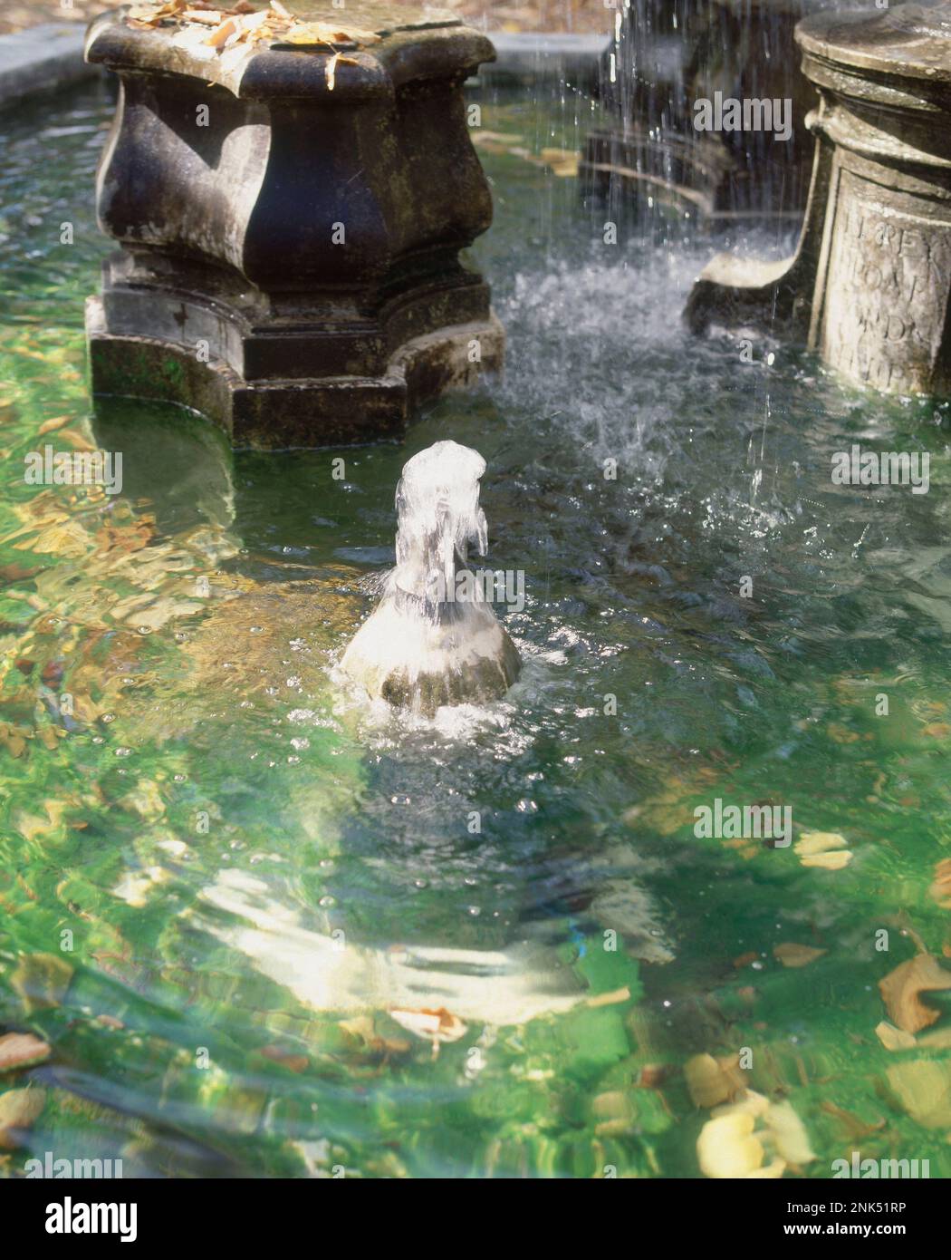 SURTIDOR DE LA FUENTE DE NEPTUNO. Location: PALACIO REAL-JARDIN DE LA ...