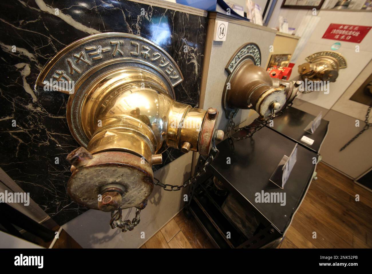 Siamese connections are displayed at Sousuiko Hakubutsukan, Siamese ...