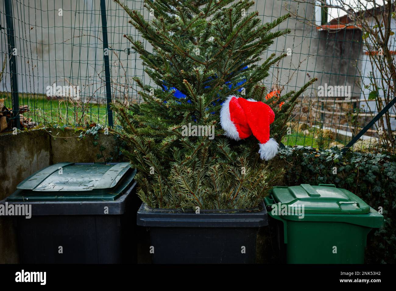 Trashed christmas tree hi-res stock photography and images - Alamy