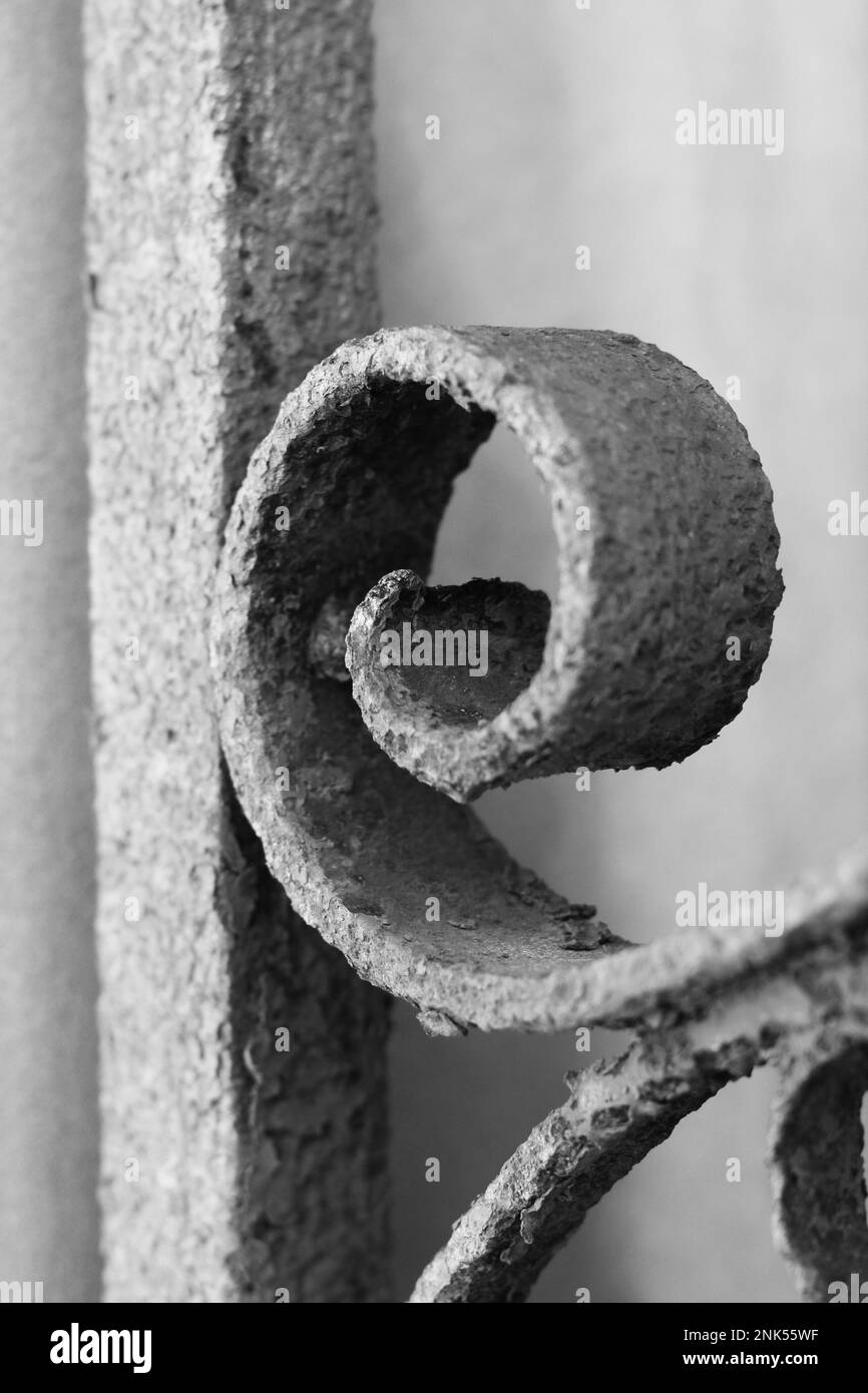 Rusted curly medieval metal gate decorations in a black and white ...
