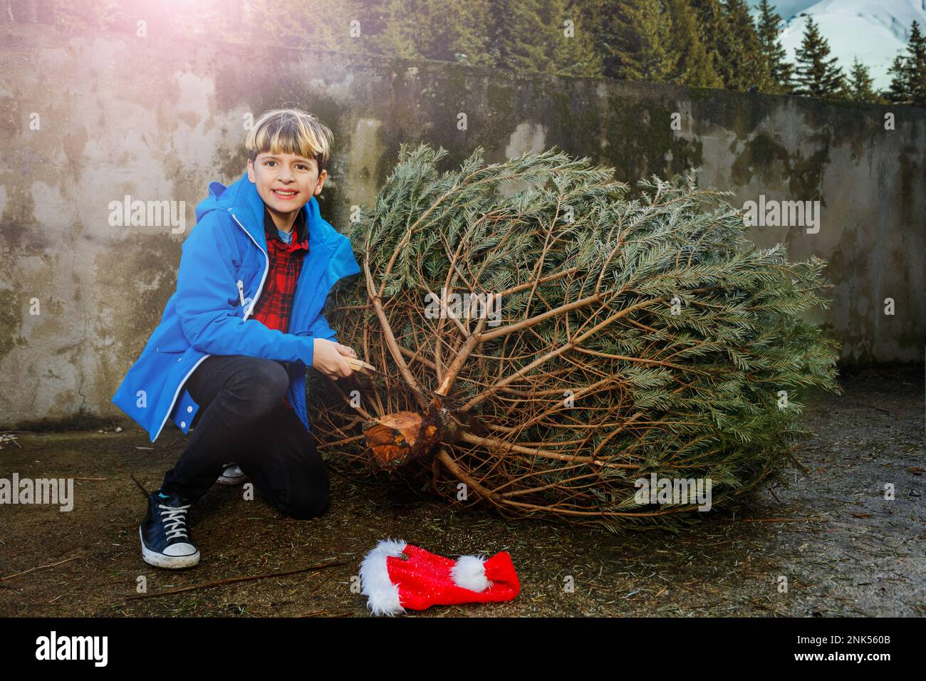 Boy holding a saw cut down Christmas tree after celebrations Stock ...
