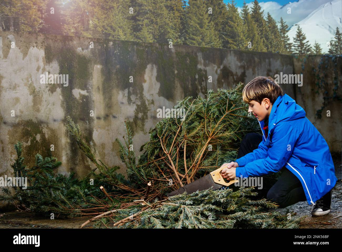 Cutting back at christmas hi-res stock photography and images - Alamy