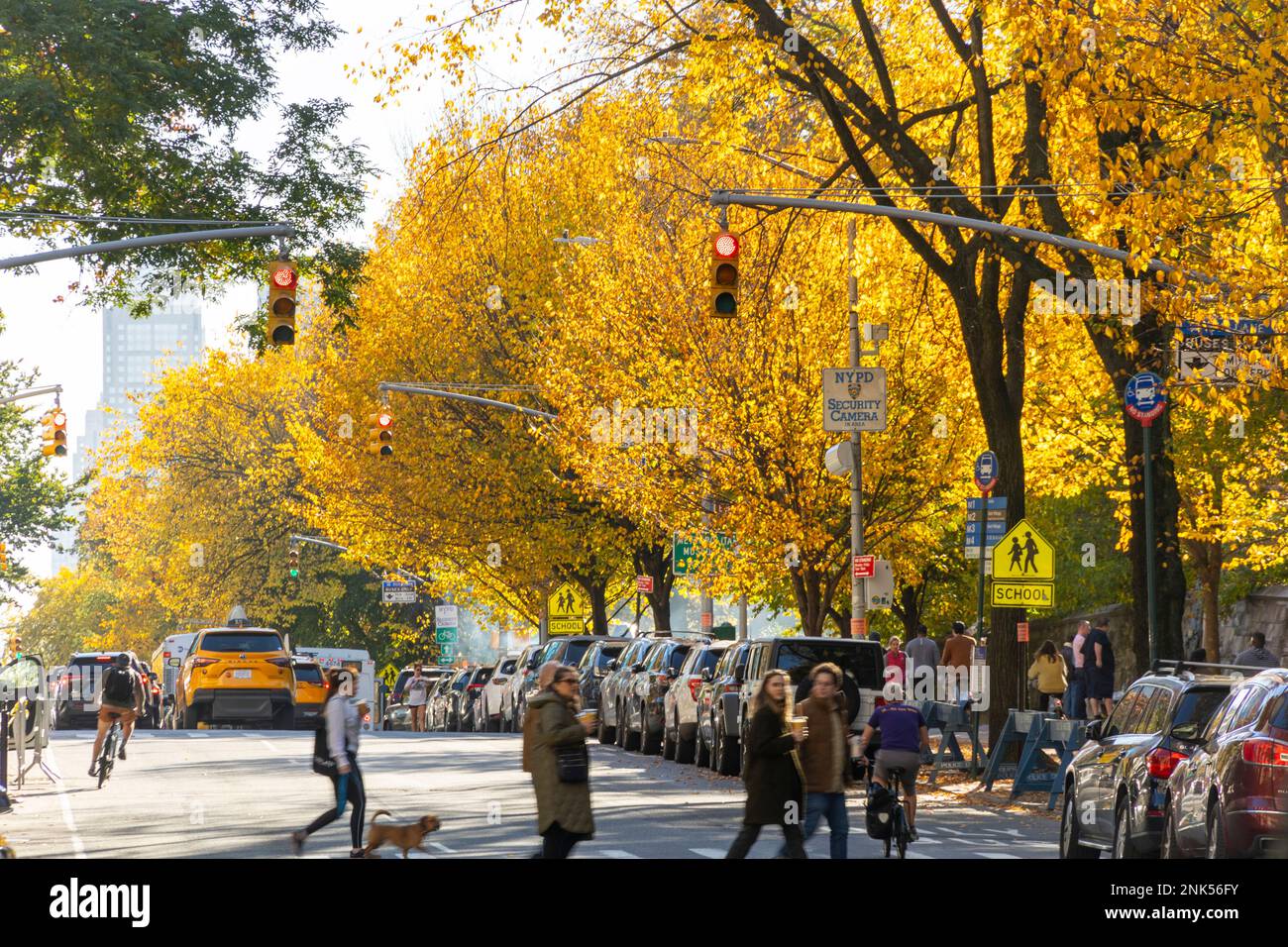 To the east side of fifth avenue hi-res stock photography and images ...