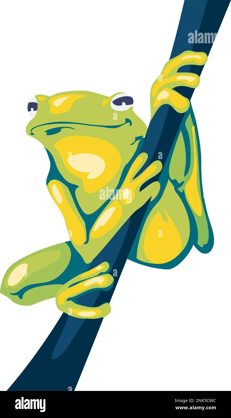 colored frog design Stock Vector Image & Art - Alamy