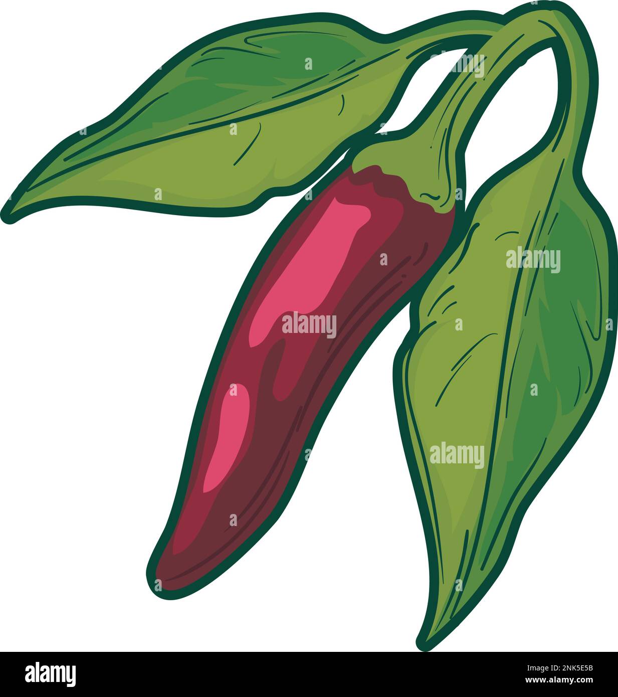 chili pepper design Stock Vector Image & Art - Alamy