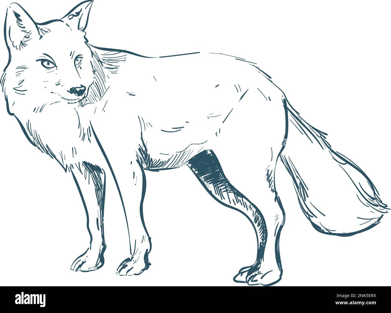 The timber wolf Stock Vector Images - Alamy