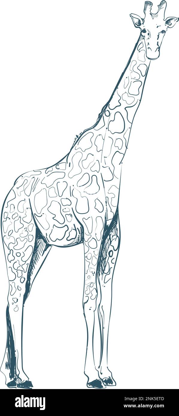 retro giraffe design Stock Vector Image & Art - Alamy