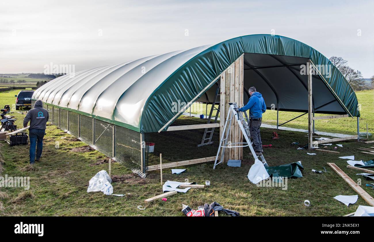 Installation of a single span, livestock polytunnel at Back Lane, Long ...