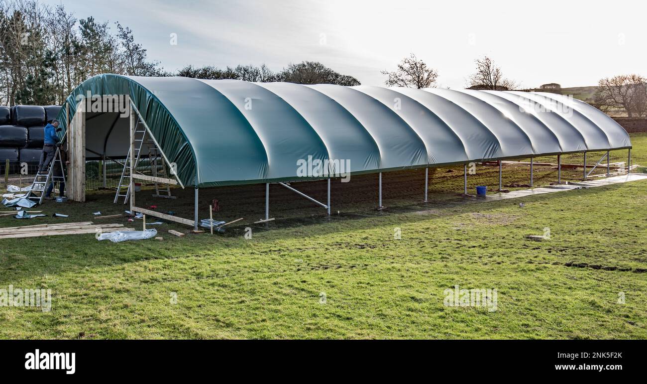 Installation of a single span, livestock polytunnel at Back Lane, Long ...