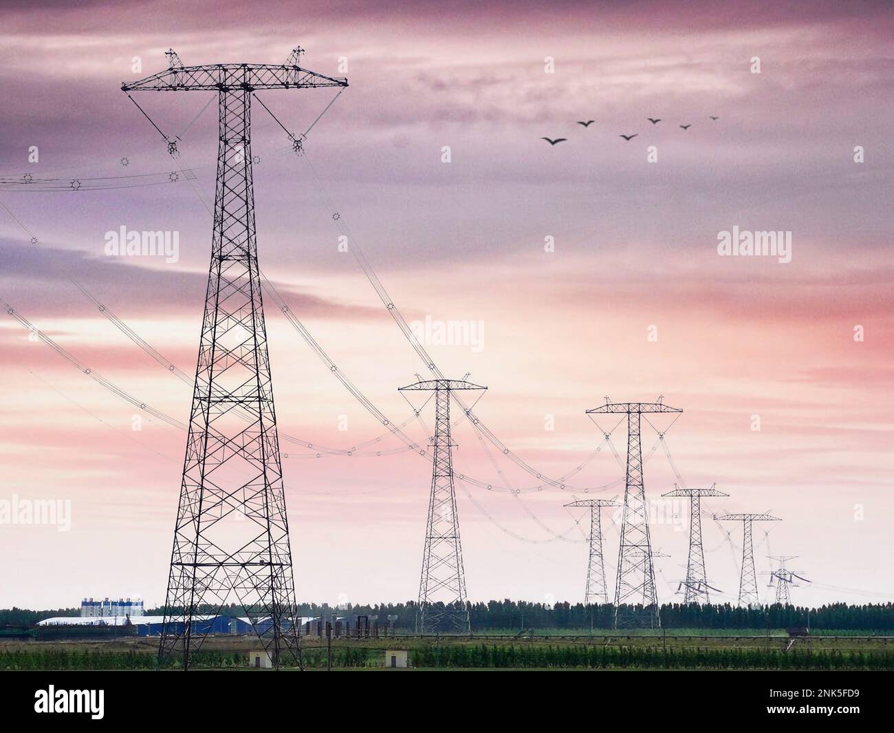 A view of the 800kV power transmission line in Boxing county in east ...