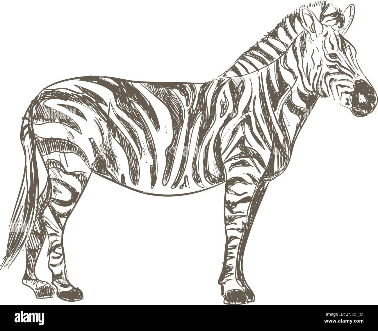 Savanna zebra hoof Stock Vector Images - Alamy