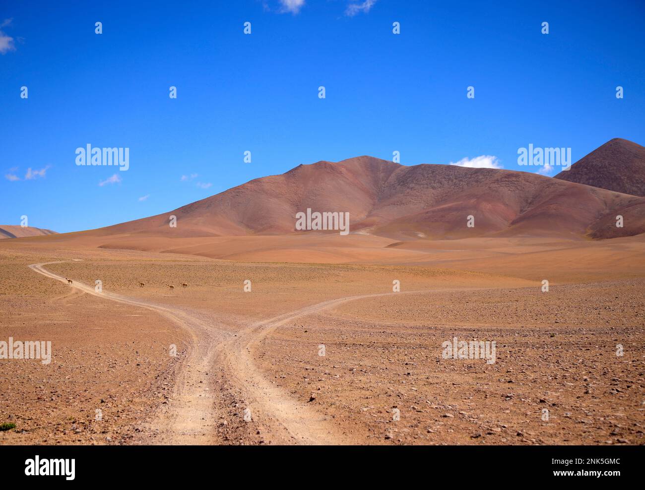 The red color of the landscapes of the Puna, Argentina Stock Photo - Alamy