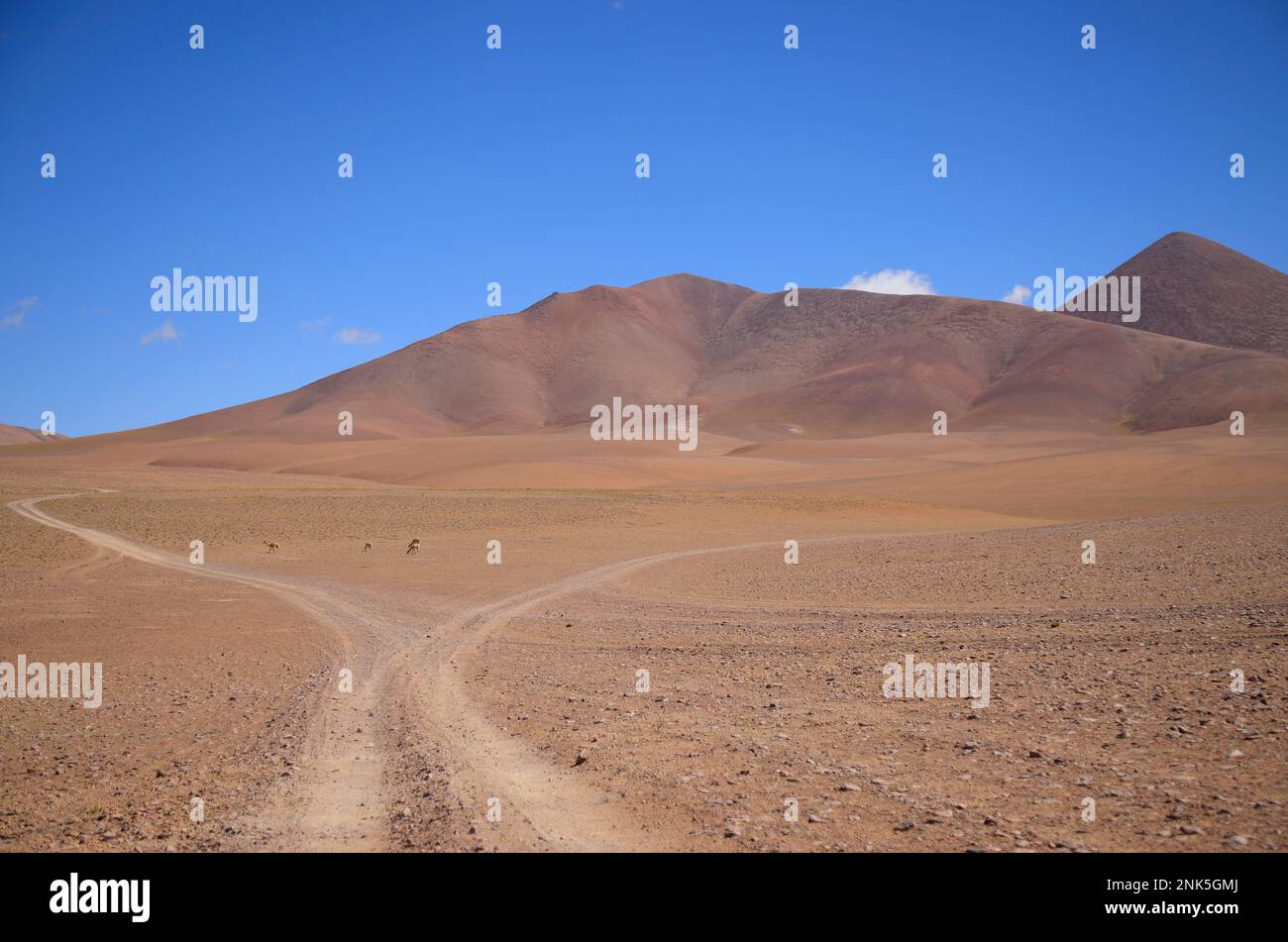 The red color of the landscapes of the Puna, Argentina Stock Photo - Alamy
