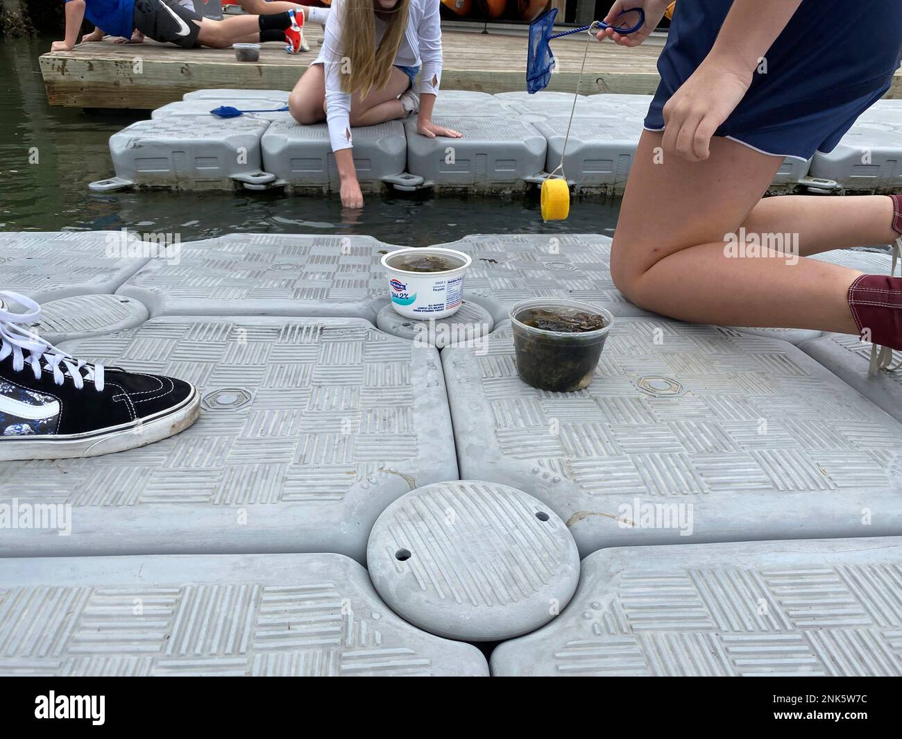 Hilton Head Christian Academy students gathering specimens from below ...