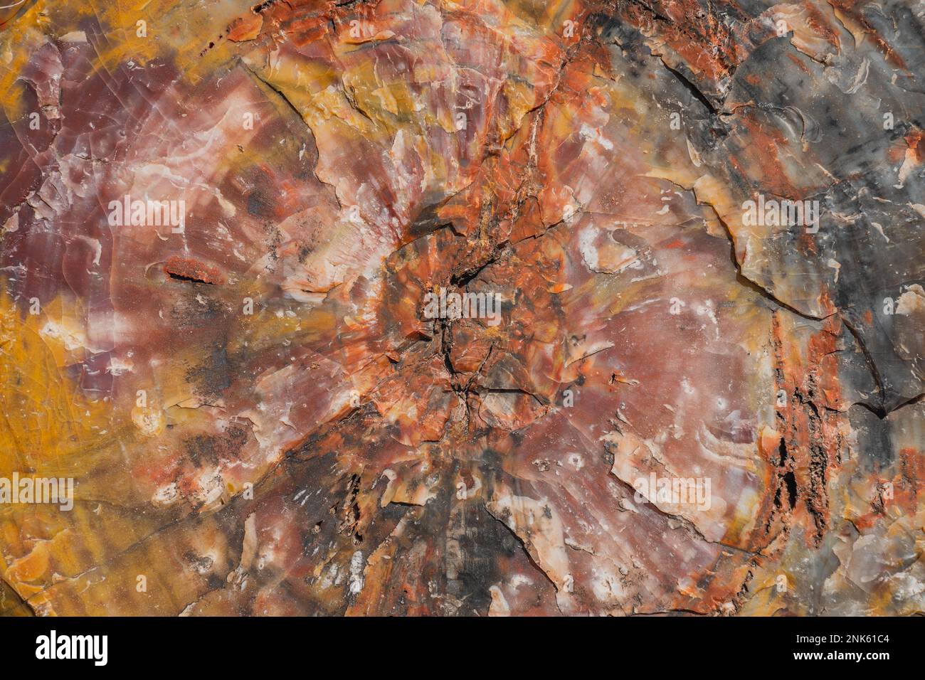 Petrified Forest and Painted Desert National Park in Arizona, USA Stock ...